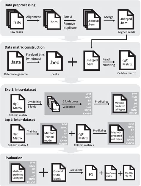 schematic overview of single cell atac seq in data preprocessing step download scientific