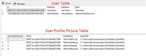 How Do I Upload An Image In Aspnet Core Web Api With Other Form Data Stack Overflow