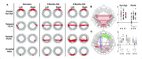 developmental trajectories of functional connectivity a download scientific diagram