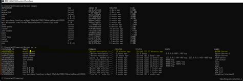 mysql 8 0 docker安装 win10 学习 实践 docker mysql database is uninitialized csdn博客