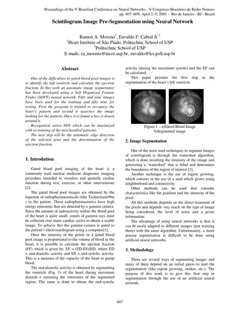 pdf scintilogram image pre segmentation using neural network