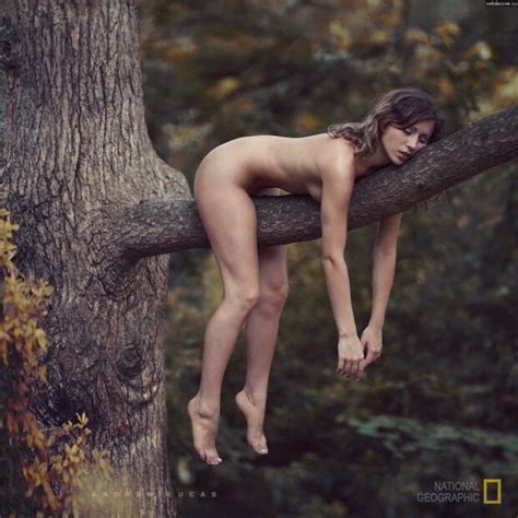 All Sizes All Sexy Tasty Tree Huggers Pics Porn Pictures Xxx Photos Sex Images 3887609