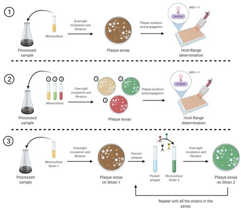 viruses free full text phida a high throughput turbidimetric data analytic tool to compare