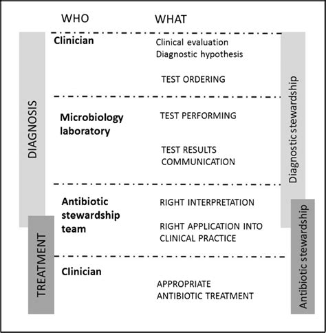 key steps of diagnostic and antibiotic stewardship download scientific diagram