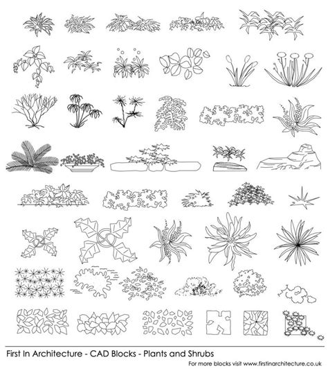Free CAD Blocks Plants And Shrubs