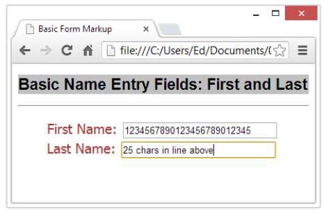 How To Use Text Fields In Your HTML5 Form Dummies