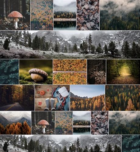 React Photo Gallery Npm