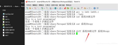 文件i o操作 利用标准io和系统调用io实现复制拷贝 anam1的博客 csdn博客