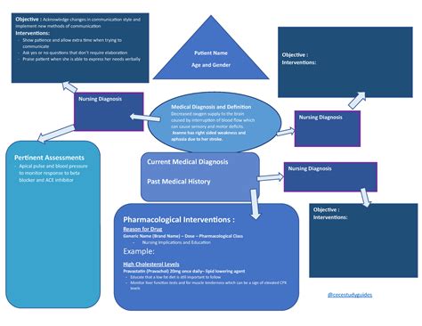 Care Plan Concept Map Template Objective Acknowledge Changes In