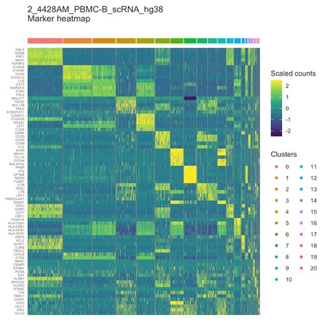 Single Cell And Single Nucleus RNA Seq ScRNA Seq SnRNA Seq Service