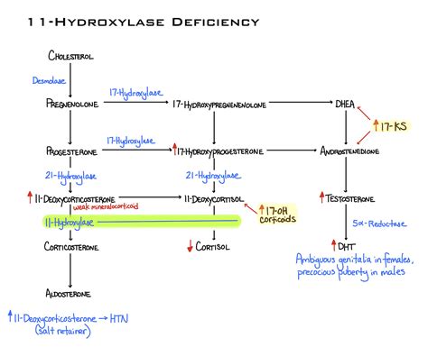 Congenital Adrenal Hyperplasia Chart