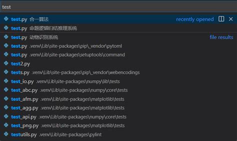用好vscode的 快速打开 命令，快速在文件、工作区、终端等之间快速转换 vscode终端中命令打开项目 csdn博客