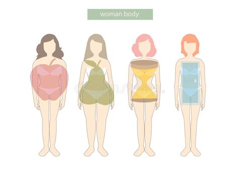 Set Of Female Body Shape Types Illustrations Stock Illustration