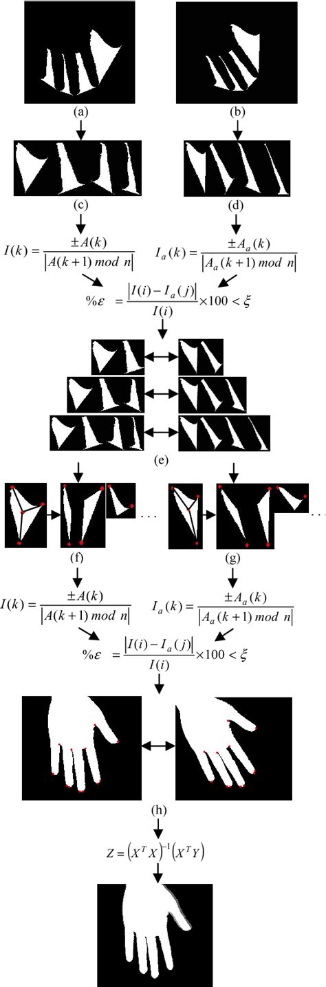 figure 5 from hand shape identification using palmprint alignment based on intrinsic local