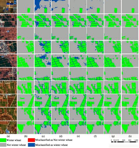 comparison of the segmentation results for 10 randomly selected image download scientific