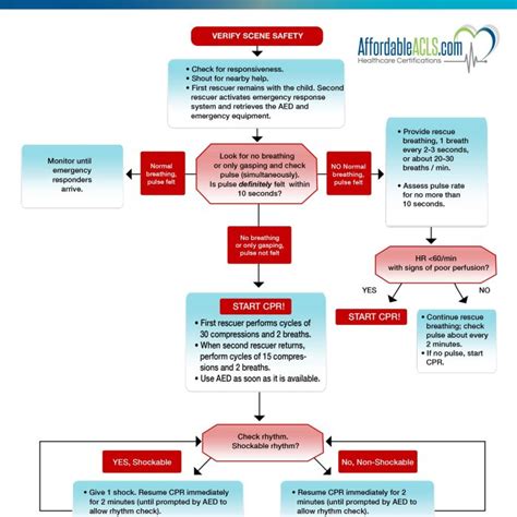 BLS Algorithms Affordableacls Com
