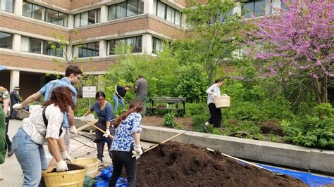 WWF CANADA TO FUND 45 NEW STUDENT PROJECTS TO RESTORE AND PROTECT