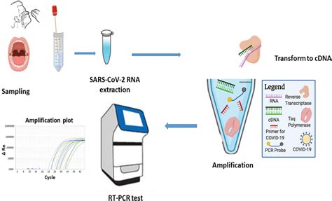 Schematic Representation Of RT QPCR Technique For SARS CoV 2 Virus