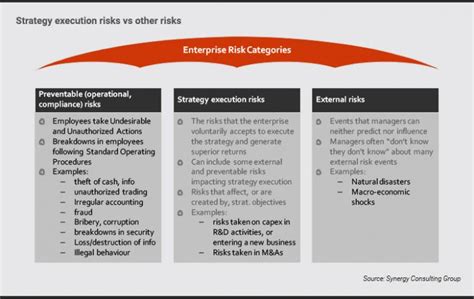 Strategic Risk Management Synergy Consulting