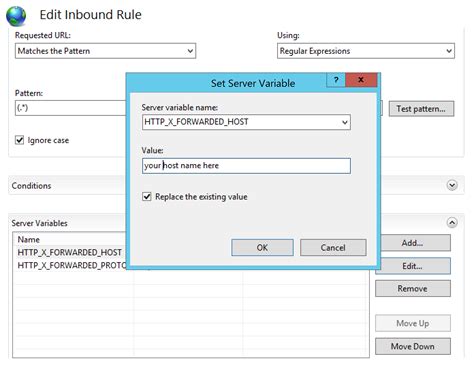 How To Configure IIS As A Reverse Proxy For Sonatype Products