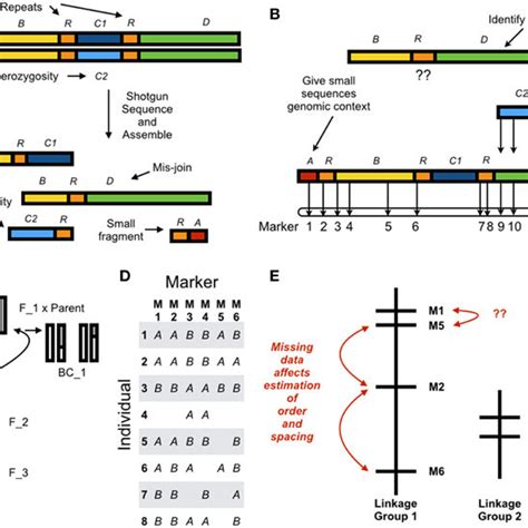 pdf using linkage maps to correct and scaffold de novo genome assemblies methods challenges