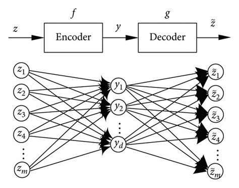 basic structure of autoencoders download scientific diagram
