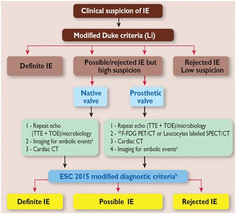 algorithm for the diagnosis of infective endocarditis of the guidelines download scientific