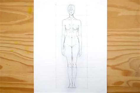 Arriba Más De 67 Medidas Del Cuerpo Humano Dibujo Muy Caliente Vn