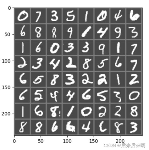 pytorch学习笔记之二十一个项目玩转pytorch 一 数字识别 21个项目玩转pytorch csdn博客