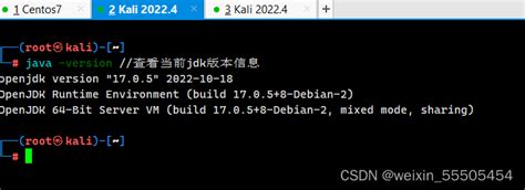 kali安装jdk1 8和切换jdk版本 kali切换java版本 csdn博客