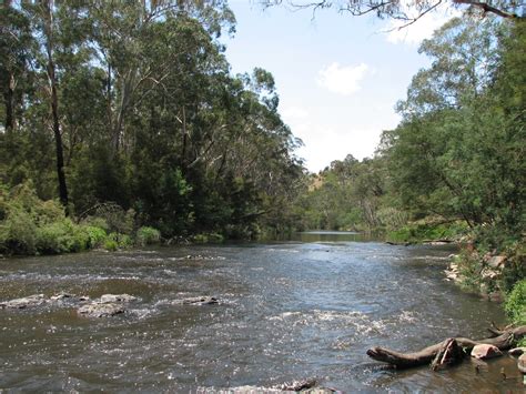 Fileyarra River Wonga Park Wikipedia The Free Encyclopedia