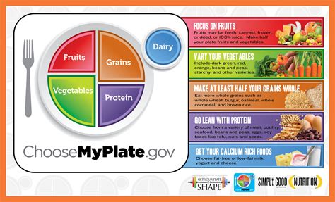 Choose Myplate Food Guide Printable Nutriton Is So Important Read More At Nutrition101kyani