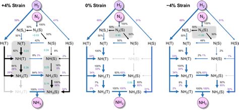 Reaction Paths Of Catalytic Ammonia Synthesis A 4 B 0 And C