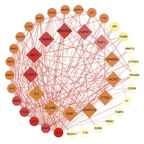 protein protein interaction ppi network a ppi network of protein download scientific