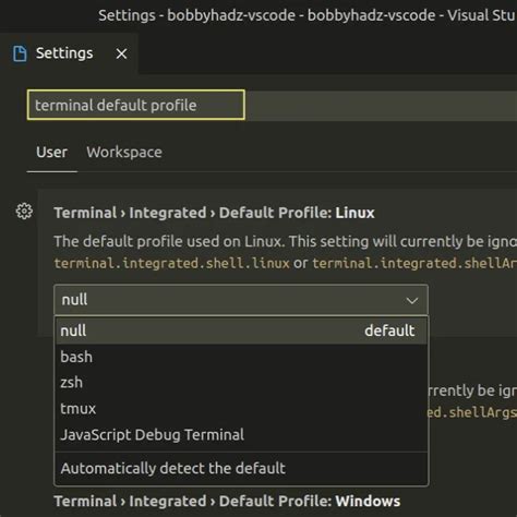 How To Change The Default Terminal In Visual Studio Code Bobbyhadz