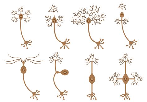 Neuron Svg