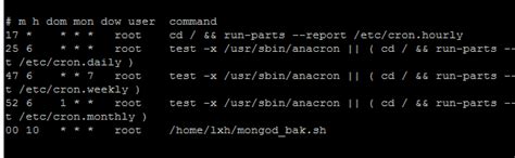 linux ubuntu22 04 使用cron设置定时启动任务及cron语法详解 cron daily csdn博客