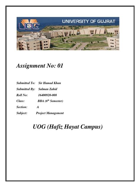 assignment 1 pdf