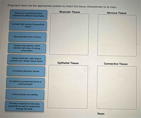Solved Drag Each Label Into The Appropriate Position To Match The