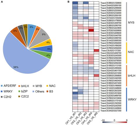 Frontiers Combined Analysis Of Metabolome And Transcriptome Of Wheat