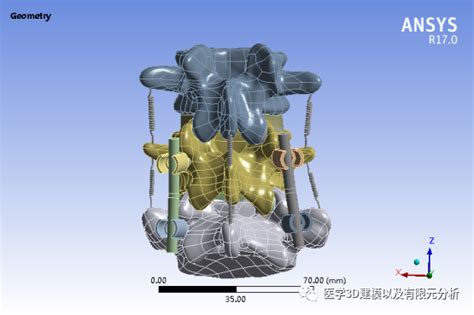 【生物力学】有限元分析课程和代做 知乎