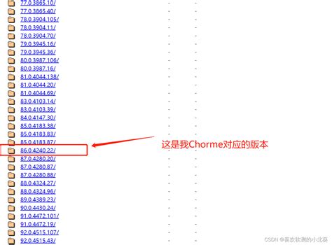 Pythonselenium安装及环境配置手把手教会你python Selenium Csdn博客