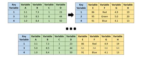 dplyr merge data frames