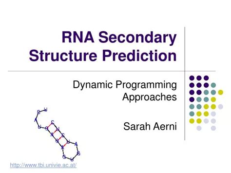 ppt rna secondary structure prediction powerpoint presentation id 1265755