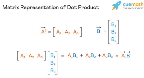 a beginner s guide to understanding vectors for linear algebra