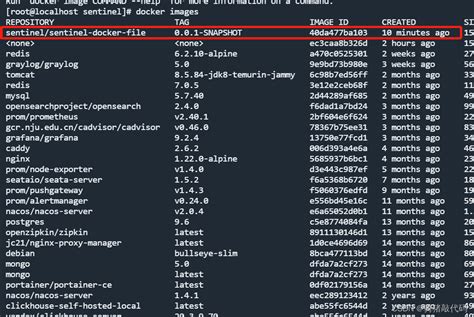 linux上打镜像并映射配置文件 sentinel linux docker镜像配置文件 csdn博客