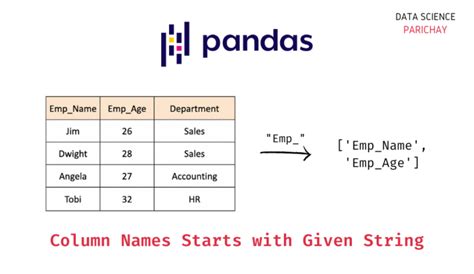 Pandas Find Column Names That Start With Specific String Data