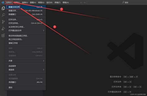 使用vscode编写第一个hello world程序页面详细步骤 vscode页面 csdn博客