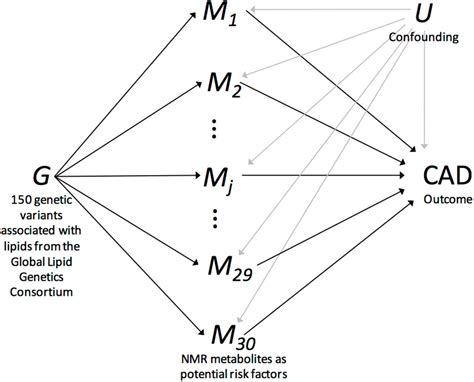 high throughput multivariable mendelian randomization analysis prioritizes apolipoprotein b as