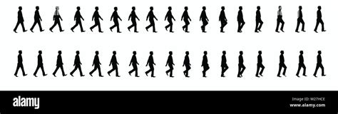 Businessman Character Walk Cycle Animation Sequence Loop Animation Sprite Sheet Vector Stock